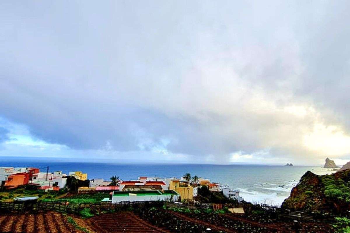 ¿Cómo llegar a Almáciga en Tenerife?