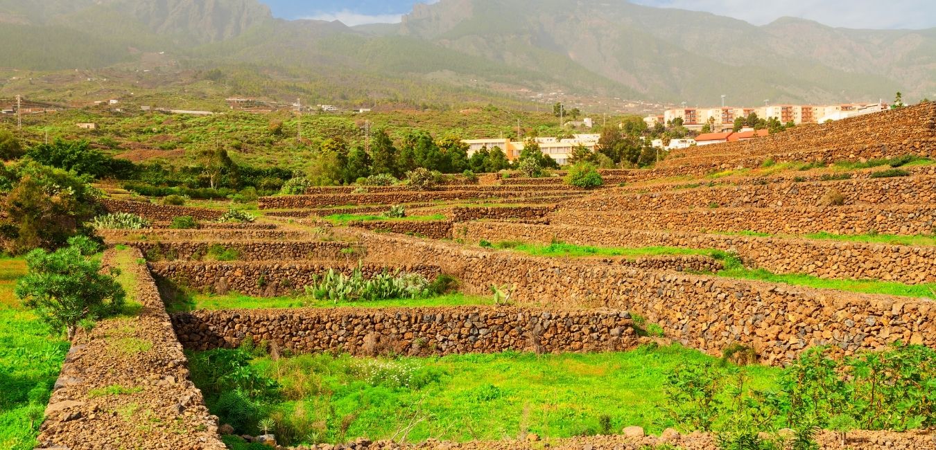 TENERIFE SUR - 15 lugares para visitar en el sur de Tenerife 😎